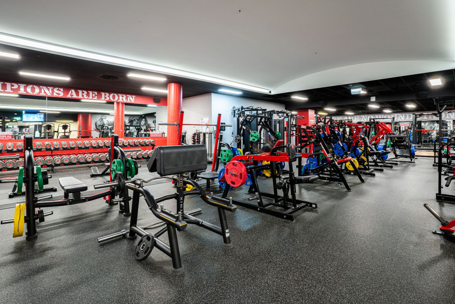 World Gym Gallery – The Barracks